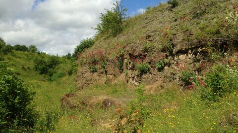 Holwell Reserves | Leicestershire and Rutland Wildlife Trust