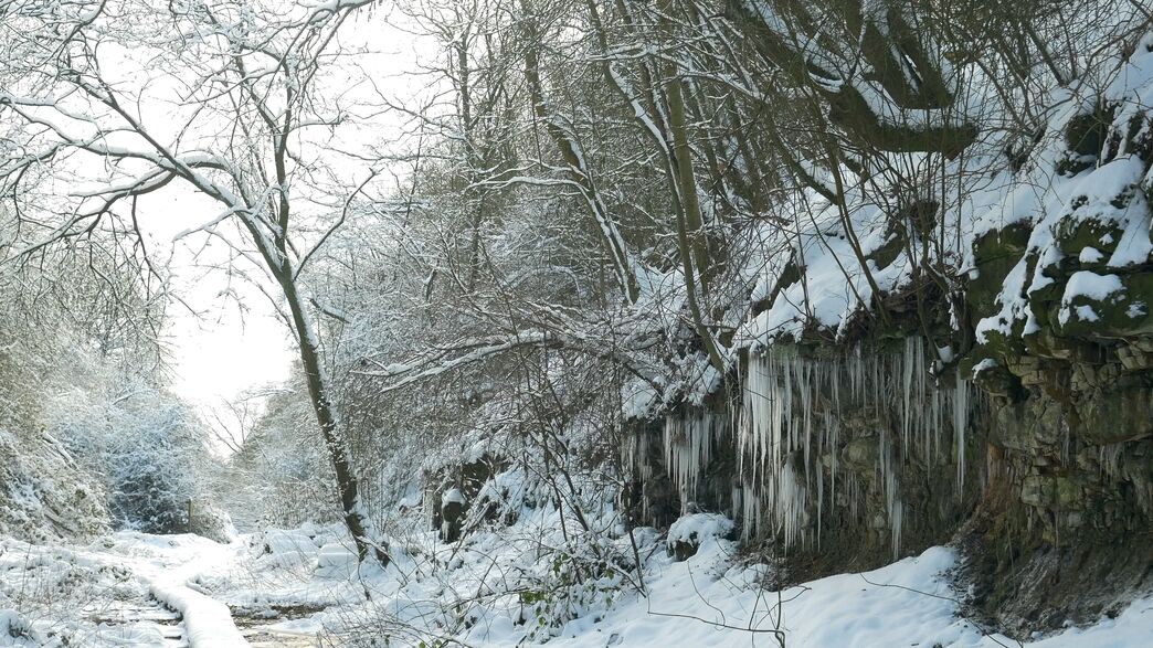 A Conservation Officer's Guide to Tilton Cutting Nature Reserve ...