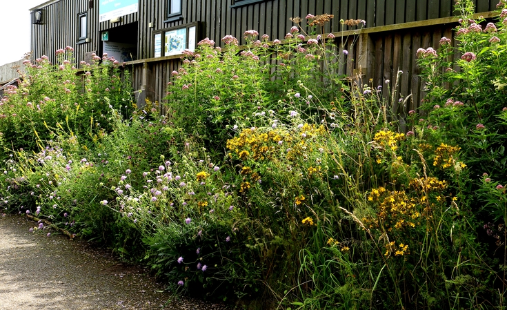 Volunteer Hub - Gardening Volunteers | Leicestershire and Rutland ...