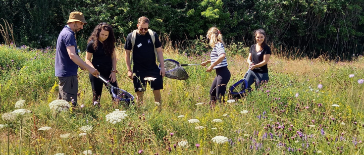 Wild Work Days | Leicestershire and Rutland Wildlife Trust